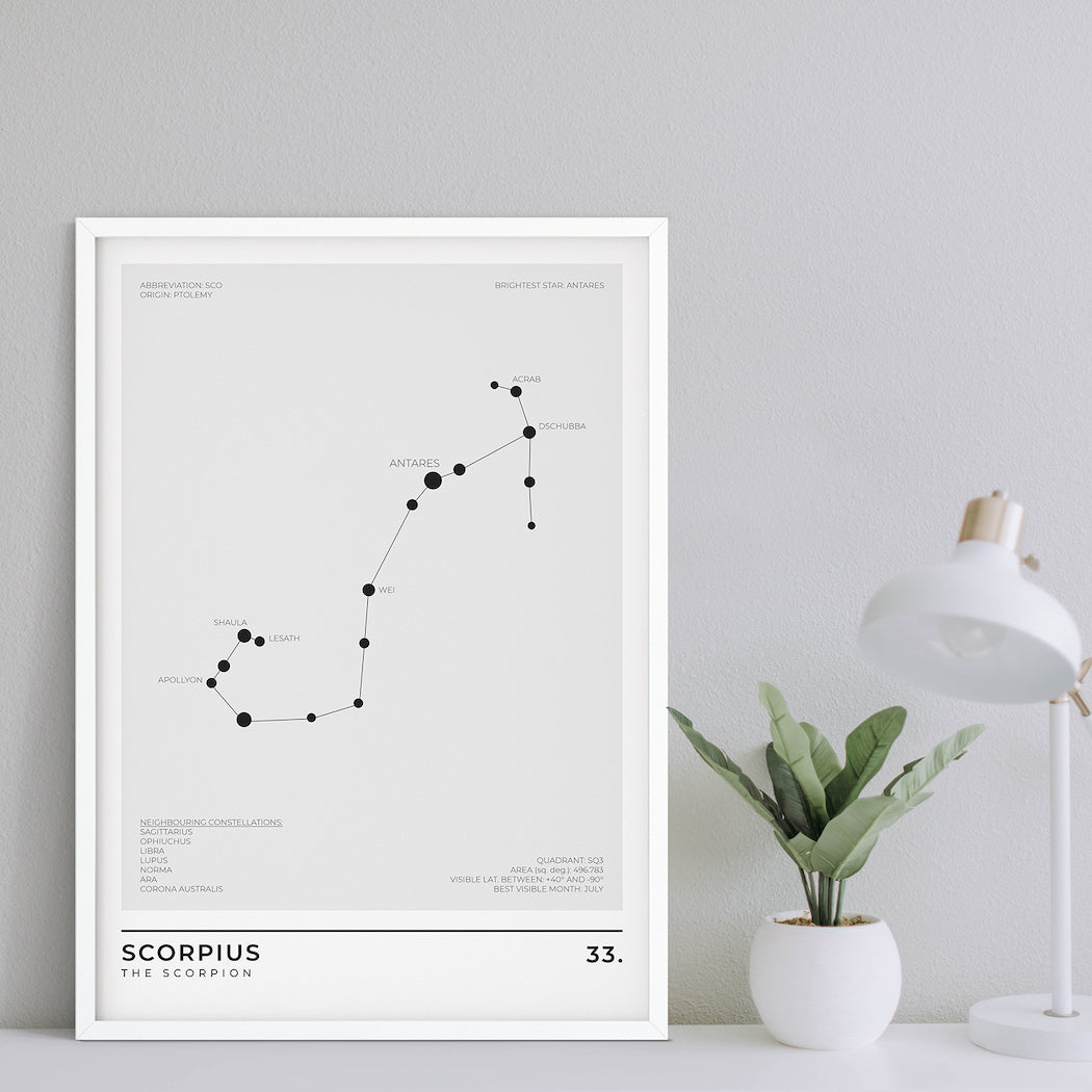 Scorpius Constellation Art Print Contemporary Fine Art Sera Lina